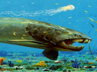 Periodo Cámbrico, dio lugar a la aparición a la aparición de una